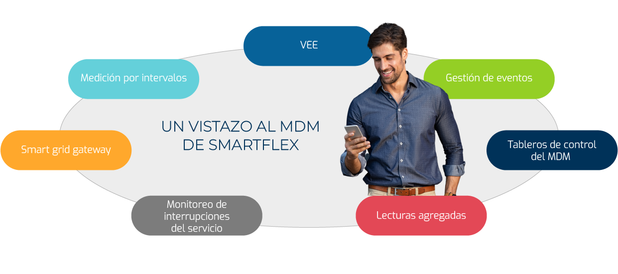 MDM - Gestión de Datos de Medición | Smartflex